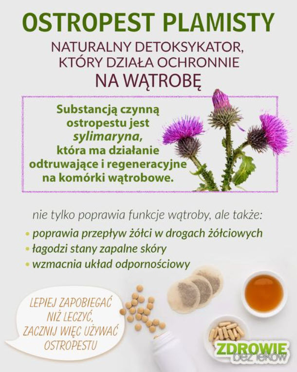 Ostropest Plamisty. Na co?